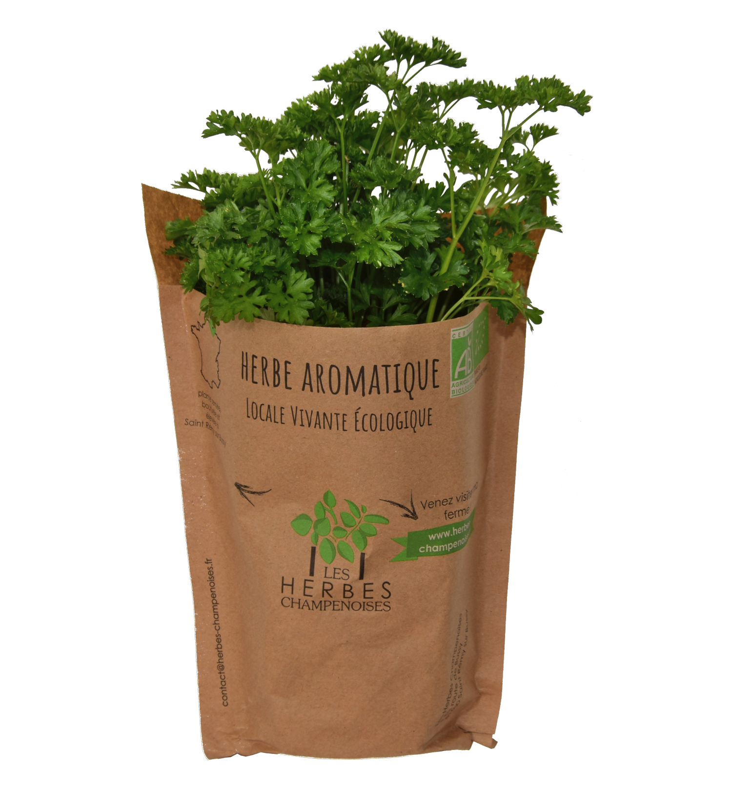 Persil frisé Bio Pot - Savourez le Grand Est